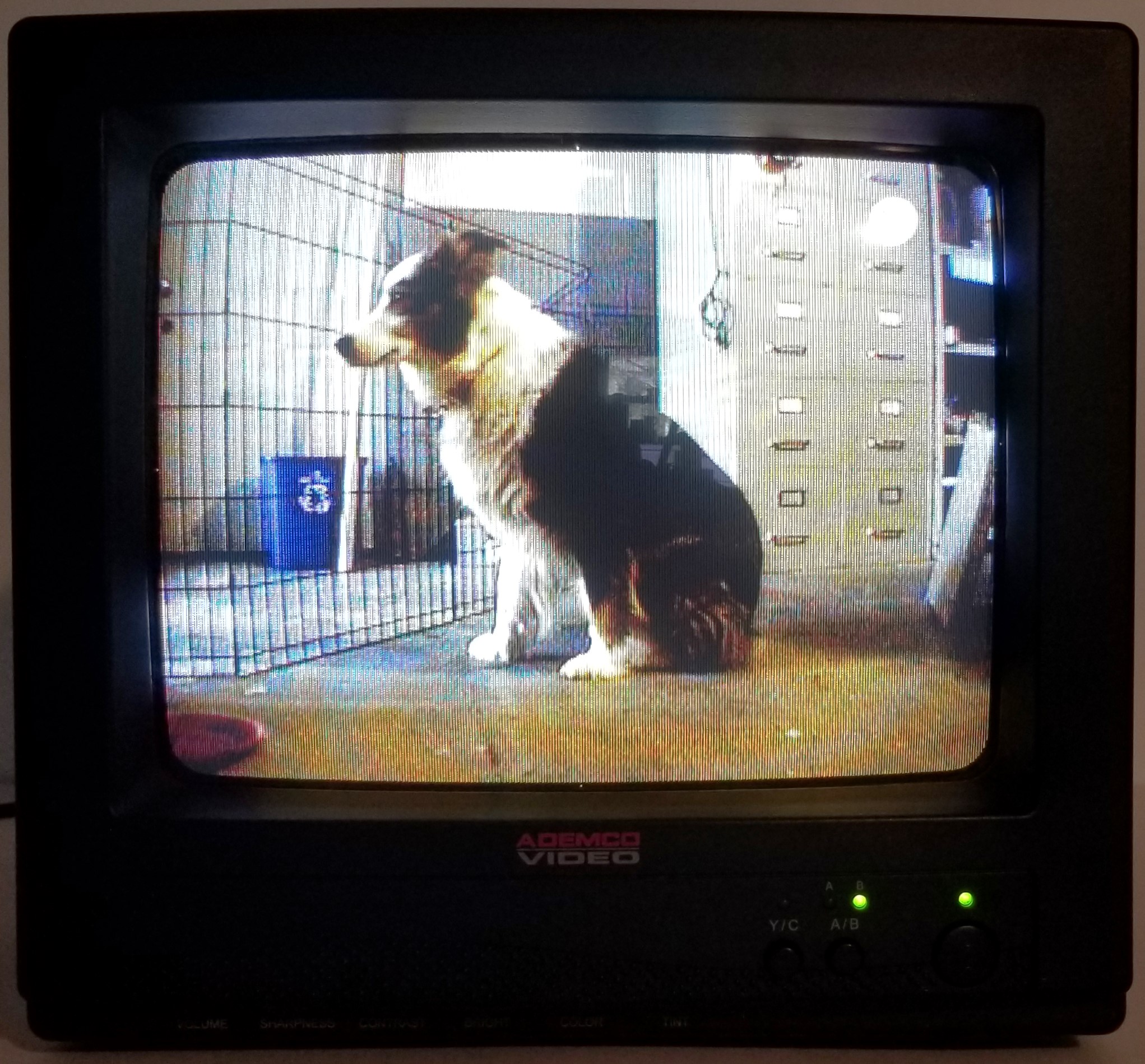 Ademco Video AMC10 Professional Color 10" CRT Monitor